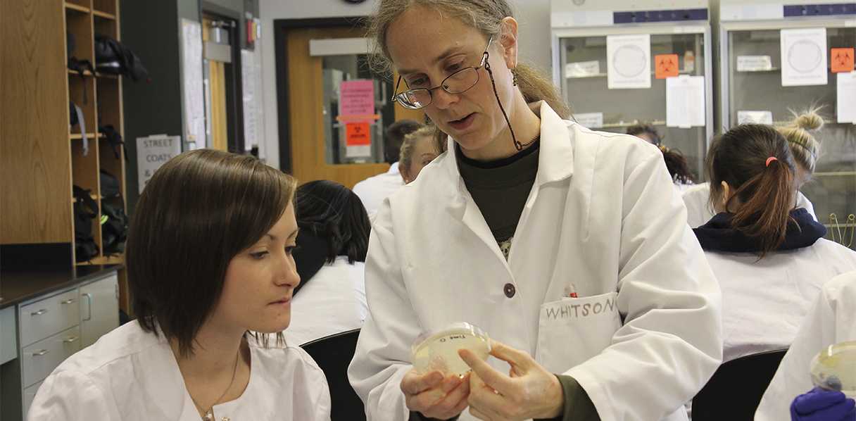 Professor with a passion for plants – The Northerner